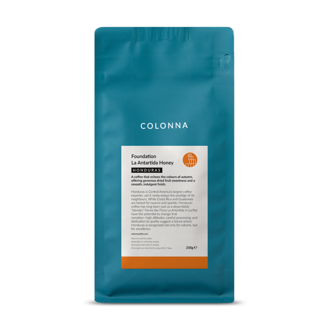 Foundation Beans – Colonna